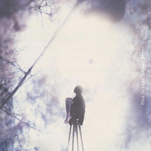 ディスコグラフィー（インディーズ） - Plot Scraps - atwiki（アットウィキ）